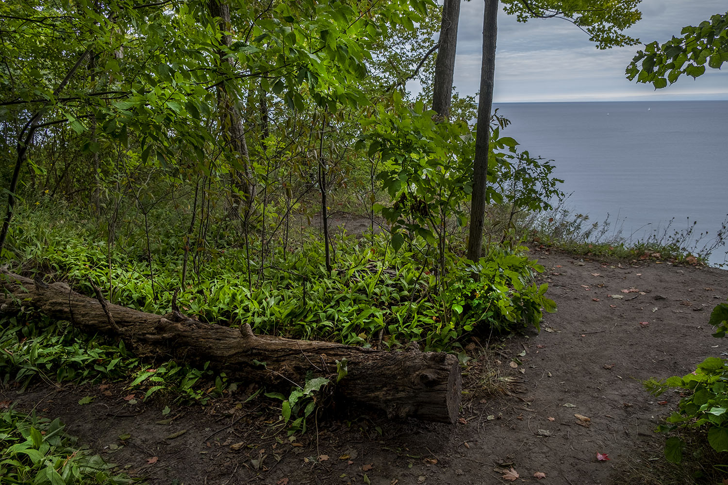 Hometown Lockdown: Visit the Toronto that could have been at Guild Park ...