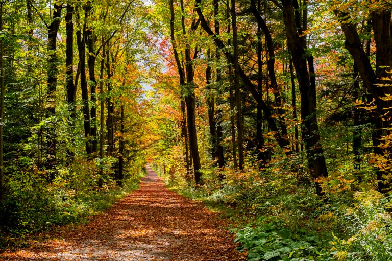 Hiking fall colours at Mountsberg Conservation Area – AWayWithACamera